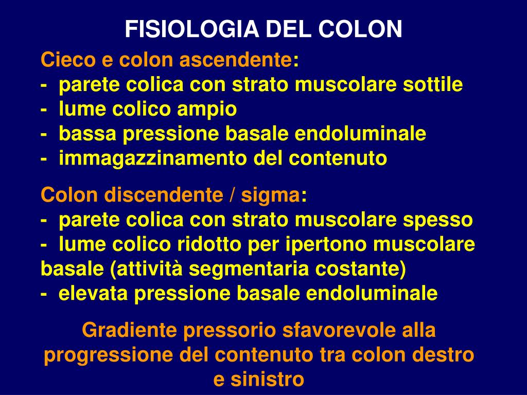 PPT - DIVERTICOLI DEL COLON Definizione PowerPoint Presentation, free ...