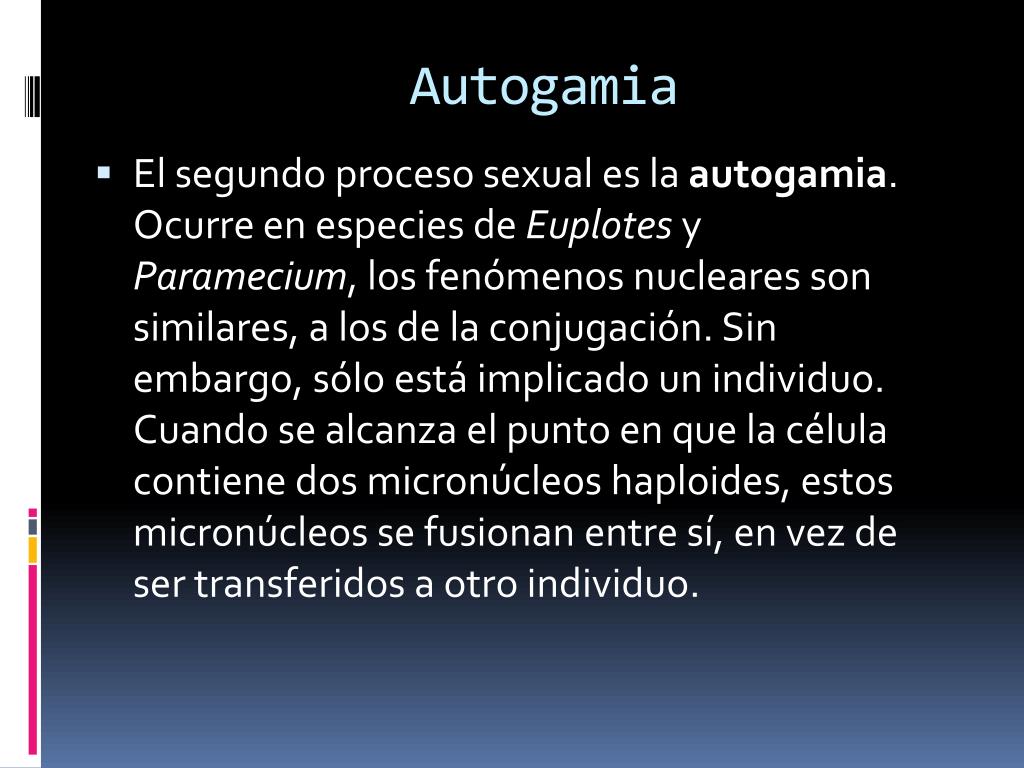 PPT - II.ii CLASE Filo Alveolados PowerPoint Presentation, free ...