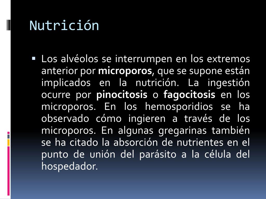 PPT - II.ii CLASE Filo Alveolados PowerPoint Presentation, free ...