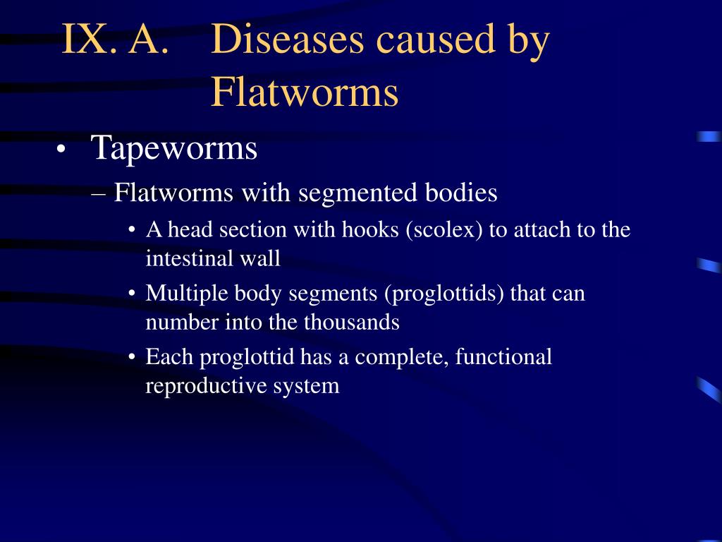 PPT - IX. Selected Diseases caused by Multicellular Animal Parasites ...
