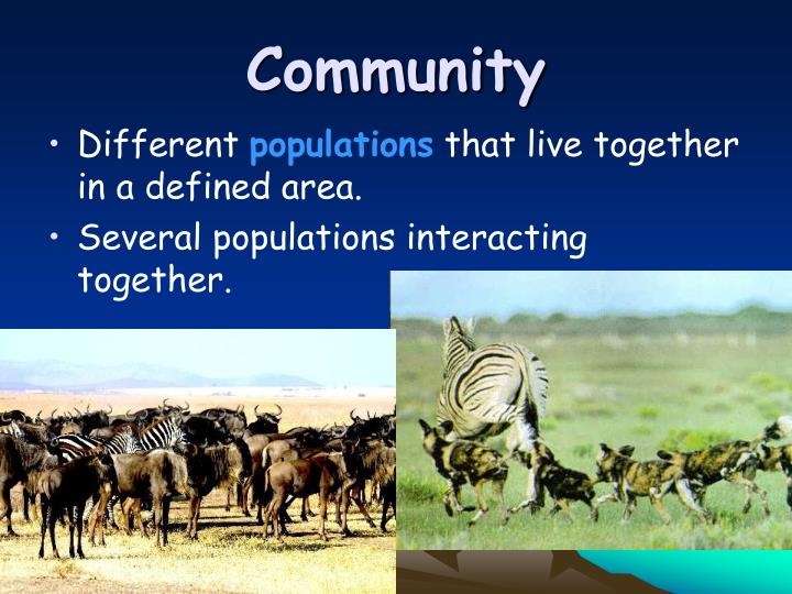 PPT - Chapter 3: The Biosphere PowerPoint Presentation - ID:790133