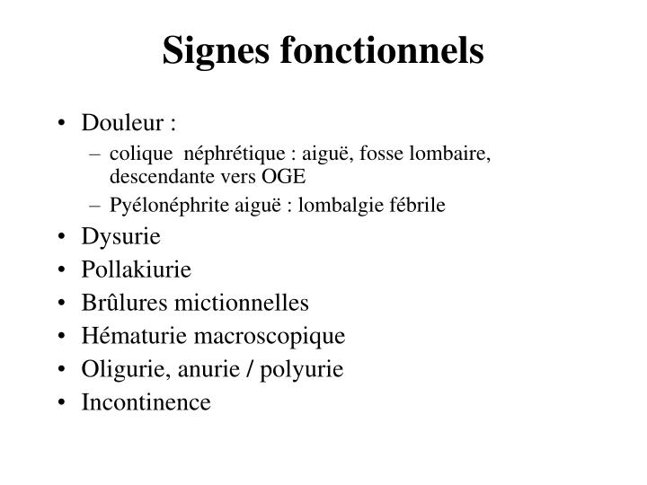 PPT - Néphrologie générale PowerPoint Presentation - ID:790582