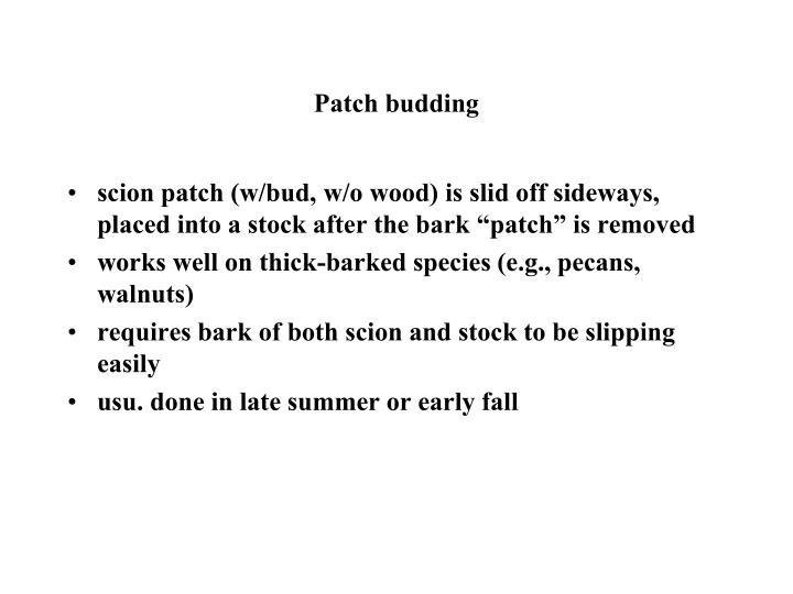 PPT - Budding methods PowerPoint Presentation - ID:791010