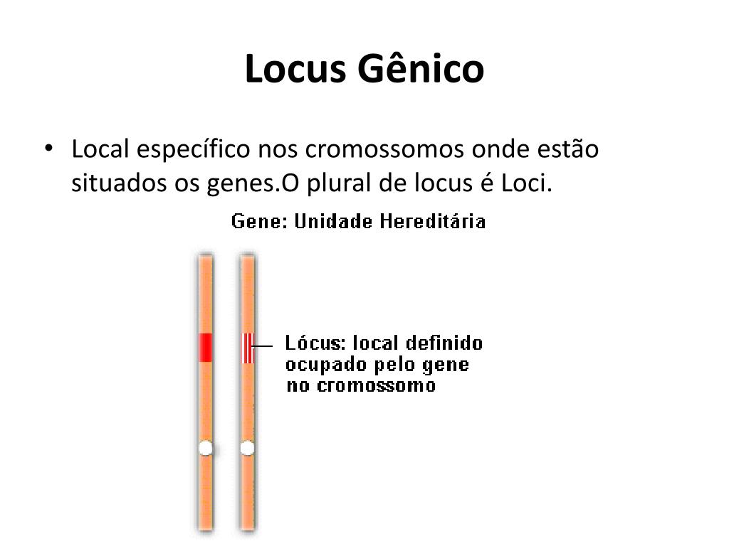 PPT - Conceitos Básicos de Genética PowerPoint Presentation, free ...
