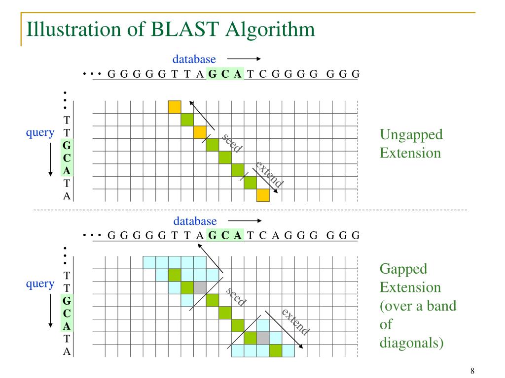 PPT - Data structure: Lookup Table Application: BLAST PowerPoint ... PPT - Data structure: Lookup Table Application: BLAST PowerPoint ...