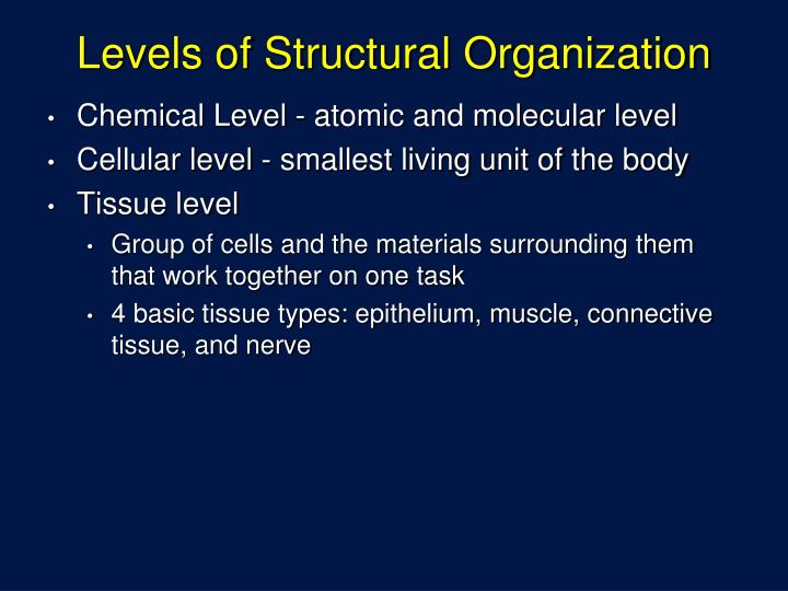PPT - Introduction to Physiology PowerPoint Presentation - ID:793453