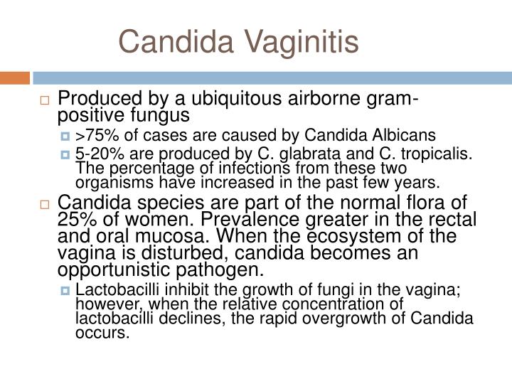 PPT - Vaginitis PowerPoint Presentation - ID:795178