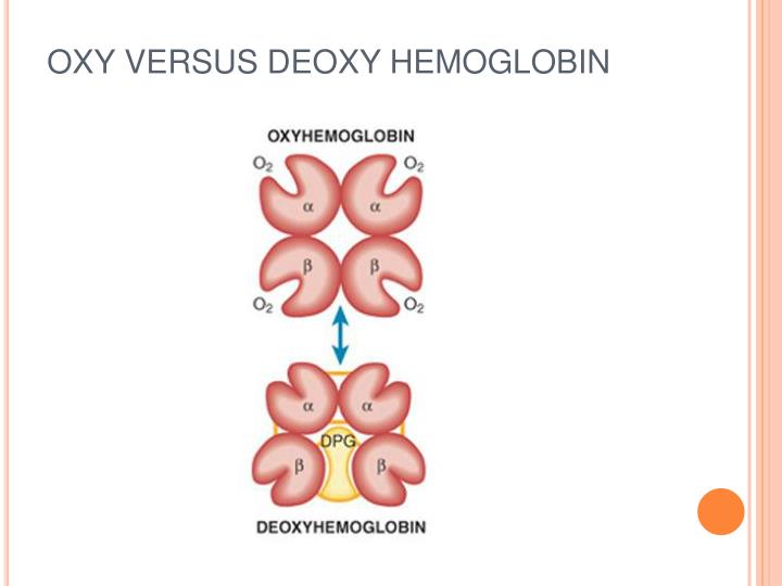 PPT - STRUCTURE AND FUNCTION OF ERYTHROPOIETIC TISSUE PowerPoint ...