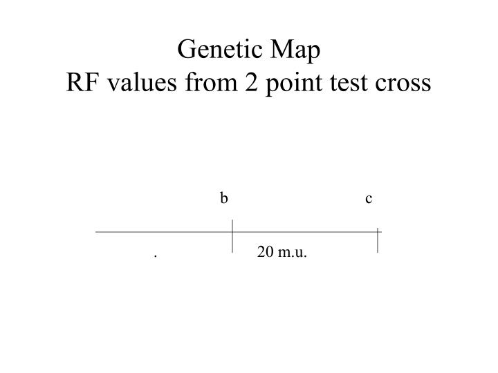 PPT - Linkage, Recombination and Eukaryotic Mapping PowerPoint ...