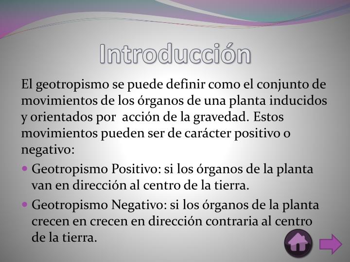 Geotropismo Ejemplos