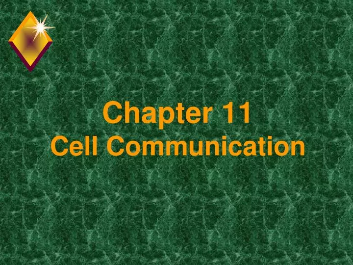 PPT - Chapter 11 Cell Communication PowerPoint Presentation, free ... PPT - Chapter 11 Cell Communication PowerPoint Presentation, free ...