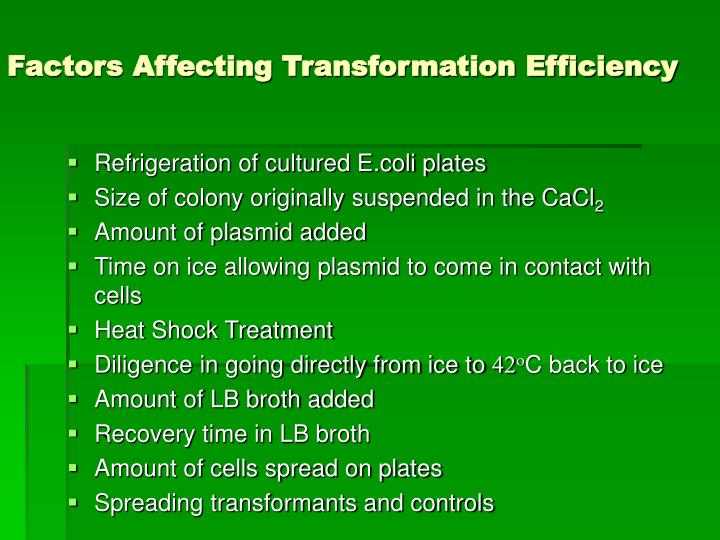 Transformation Efficiency