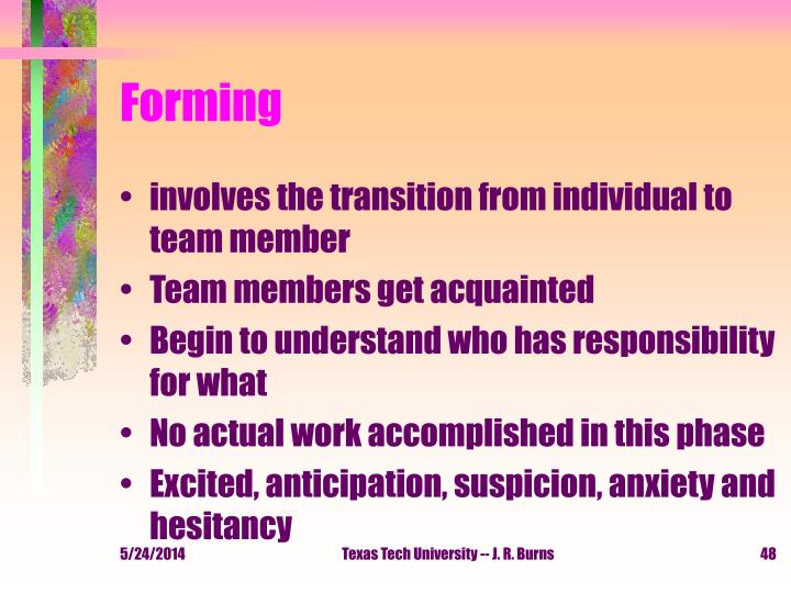 PPT - Project Management Basics PowerPoint Presentation - ID:807975