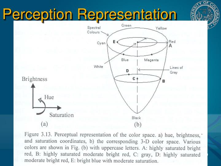 PPT - Human Visual Systems and Perception PowerPoint Presentation - ID ...