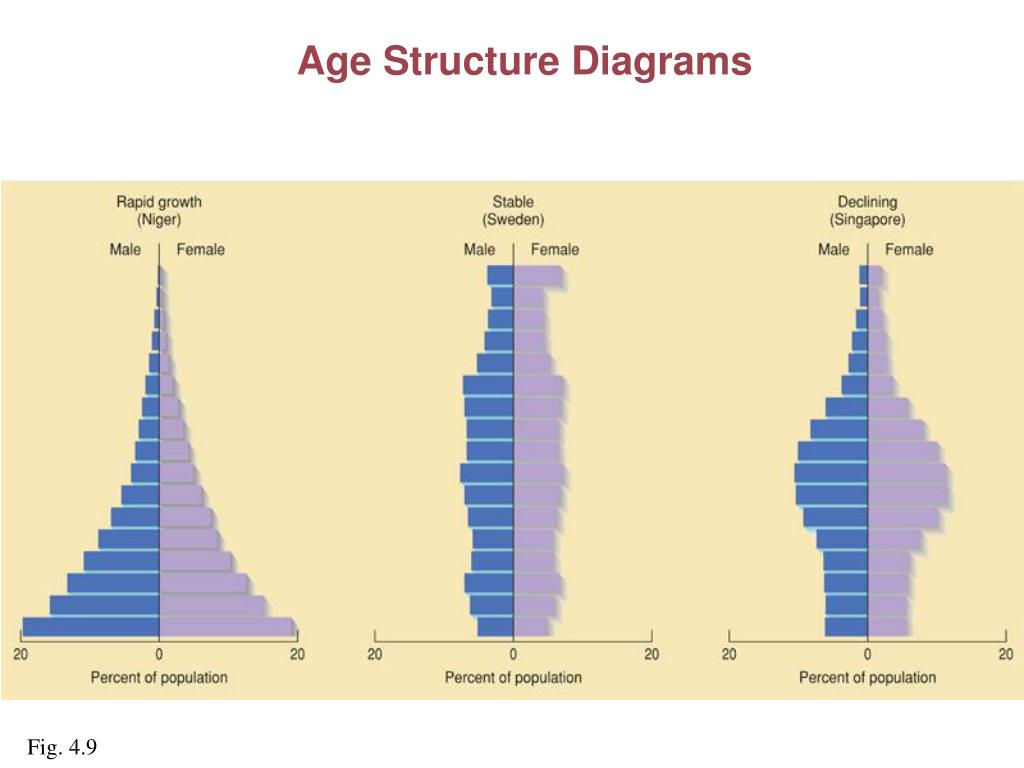 Age Structure Diagrams Age Structure Diagrams