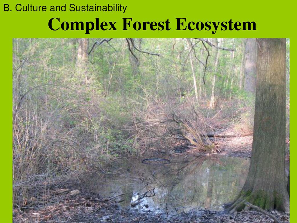 PPT - Fostering a Culture of Sustainability: Introducing the case for ...