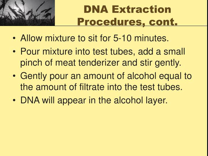 PPT - DNA Extraction PowerPoint Presentation - ID:809958