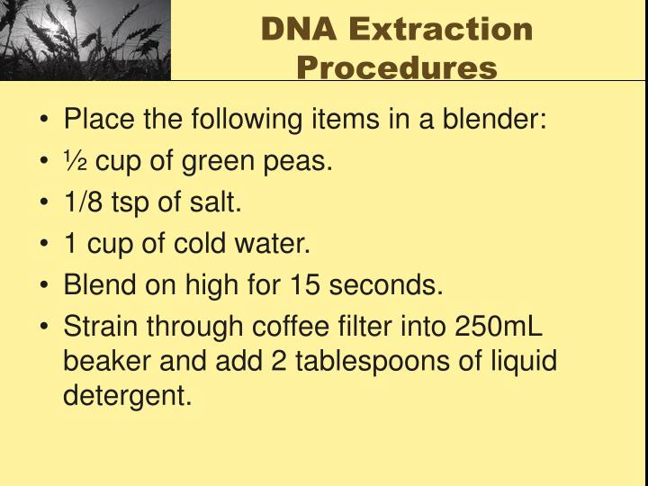 PPT - DNA Extraction PowerPoint Presentation - ID:809958