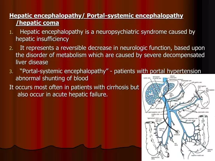 PPT - Hepatic encephalopathy/ Portal-systemic encephalopathy /hepatic ...