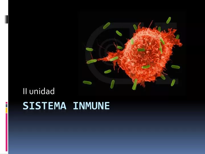 Ppt Sistema Inmune Powerpoint Presentation Free Download Id 813581
