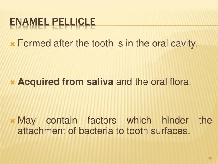 PPT - ENAMEL PowerPoint Presentation - ID:813679