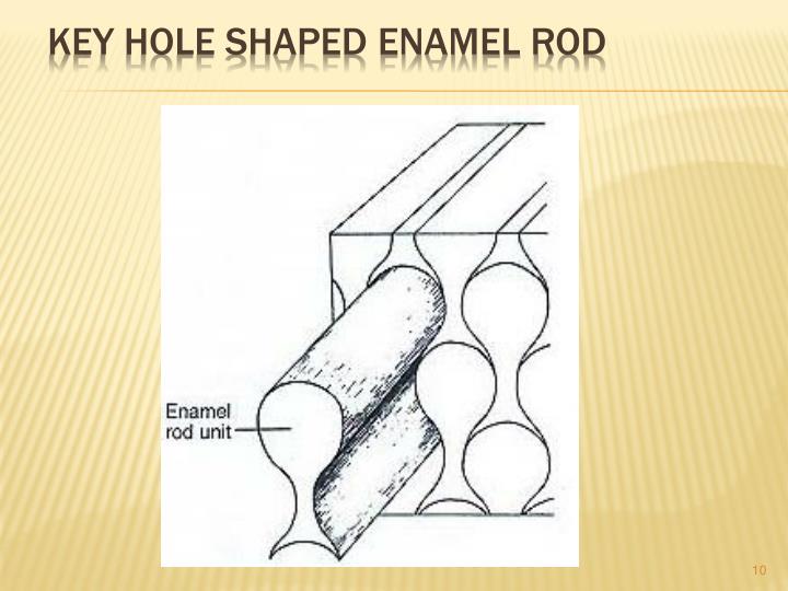 PPT - ENAMEL PowerPoint Presentation - ID:813679