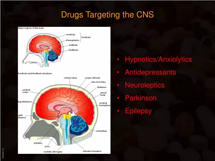 PPT - Drugs Targeting the CNS PowerPoint Presentation, free download ...
