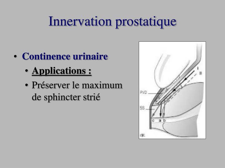 PPT - Radio-anatomie de la prostate PowerPoint Presentation - ID:814235