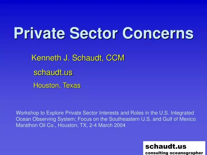 PPT - Private Sector Concerns PowerPoint Presentation, free download ...