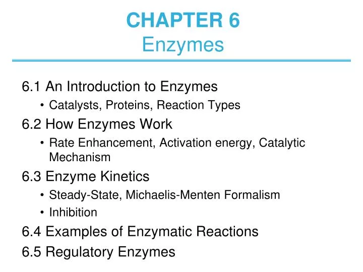 PPT - CHAPTER 6 Enzymes PowerPoint Presentation, free download - ID:815181