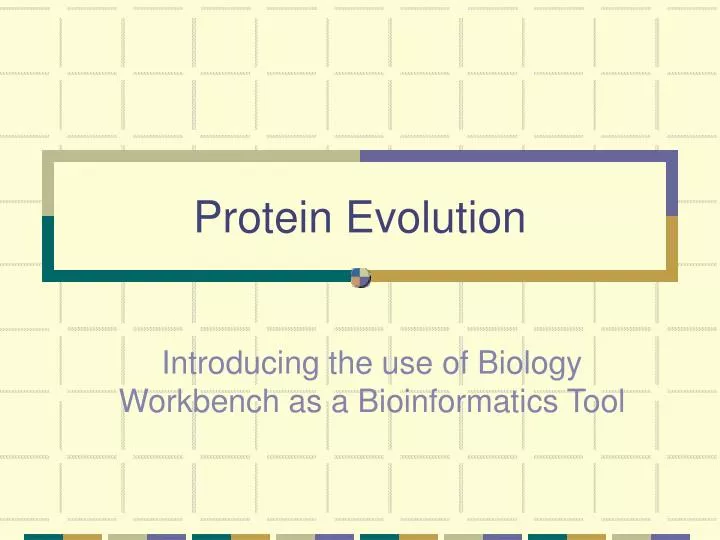 Ppt Protein Evolution Powerpoint Presentation Free Download Id 817493