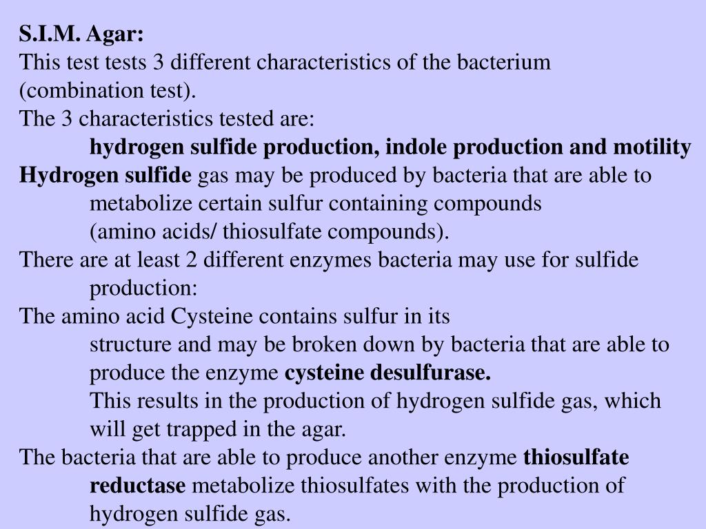 PPT - Introduction to Lab Ex. 16 Diagnostic Media Urea broth Sulfide ...