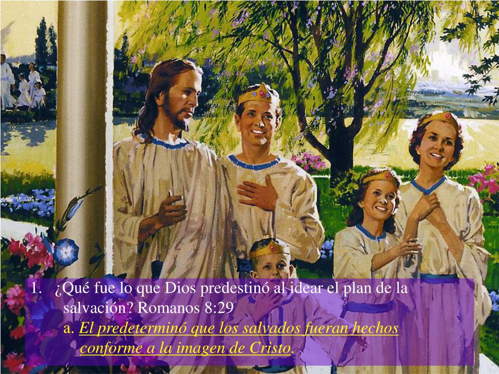 PPT - ¿DE QUE PREDESTINACION HABLA LA BIBLIA? PowerPoint Presentation ...