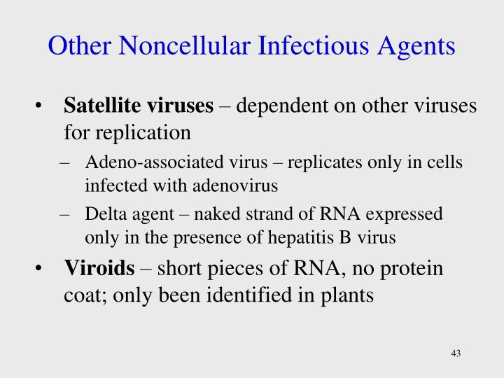 PPT - The Position of Viruses in the Biological Spectrum PowerPoint ...