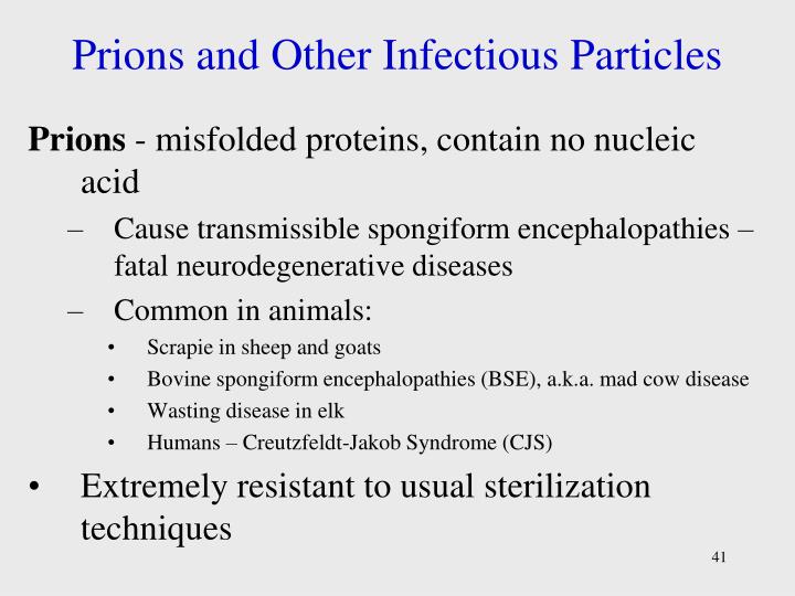PPT - The Position of Viruses in the Biological Spectrum PowerPoint ...
