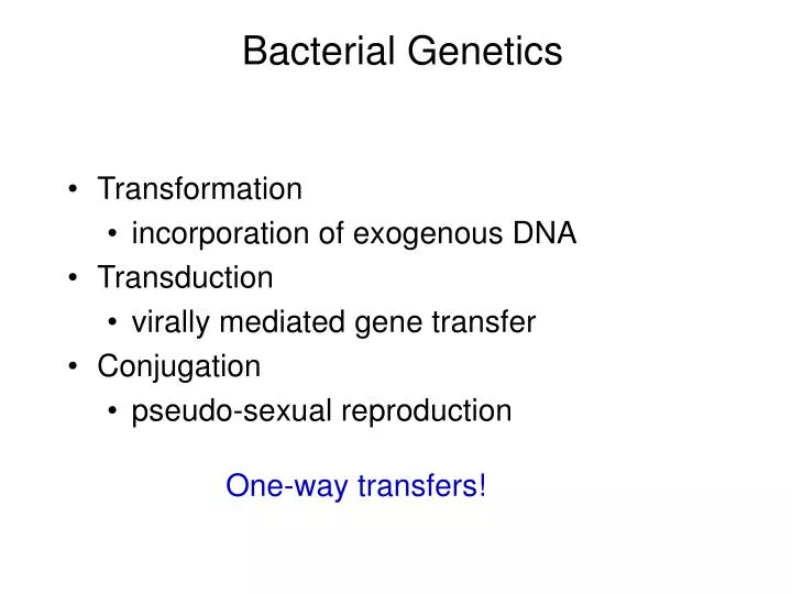 PPT - Bacterial Genetics PowerPoint Presentation, free download - ID:818482