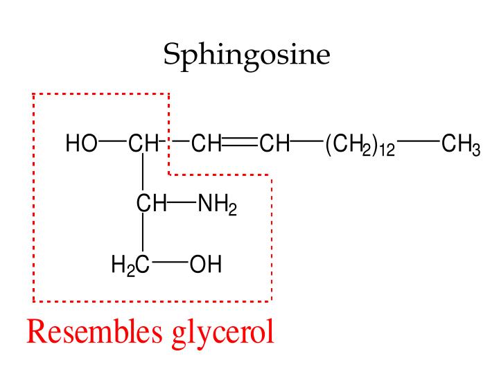 PPT - Lipid structure, function and chemistry PowerPoint Presentation ...