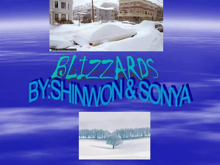 PPT - BLIZZARDS PowerPoint Presentation, free download - ID:8186