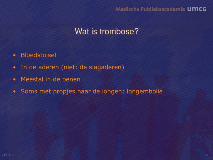 PPT - Trombose PowerPoint Presentation - ID:820263