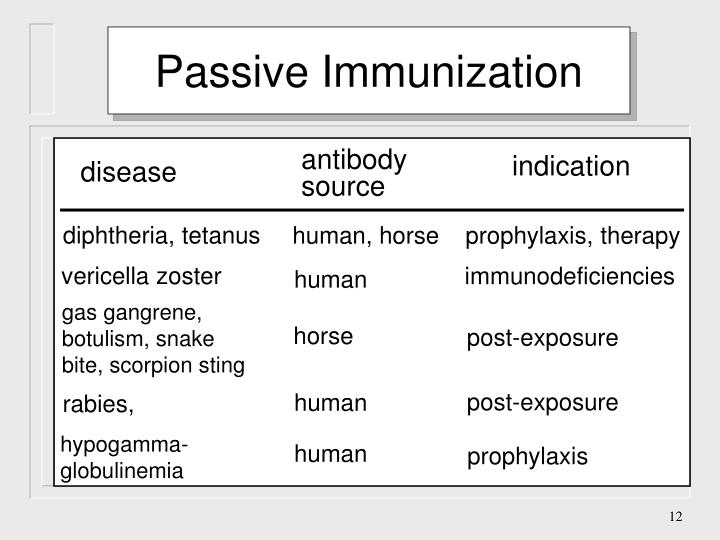PPT - Immunization PowerPoint Presentation - ID:821489
