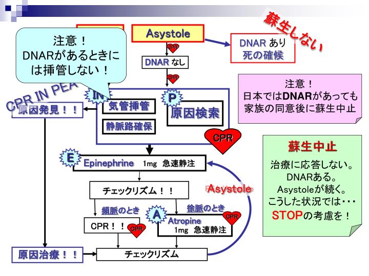 PPT - PEA/Asystole ～ Not Shockable Arrest ～ PowerPoint Presentation ...