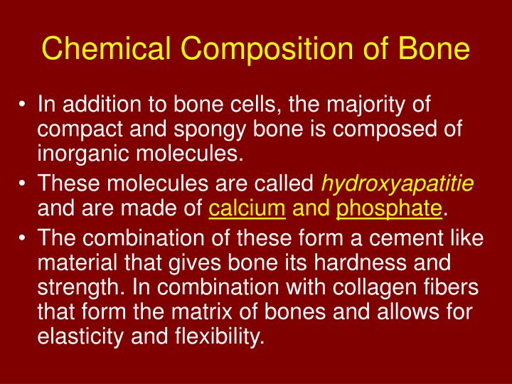 PPT - CHAPTER 6-1 PowerPoint Presentation - ID:821582