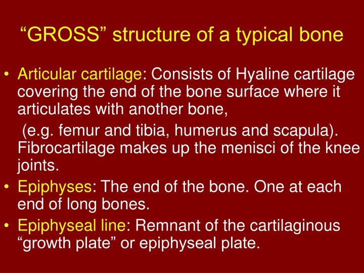 PPT - CHAPTER 6-1 PowerPoint Presentation - ID:821582