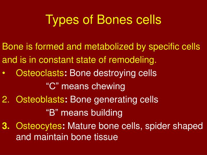 PPT - CHAPTER 6-1 PowerPoint Presentation - ID:821582