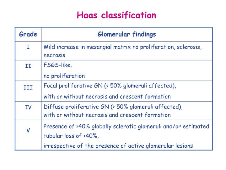 PPT - The Oxford classification of IgA-nephropathy: A review based on ...