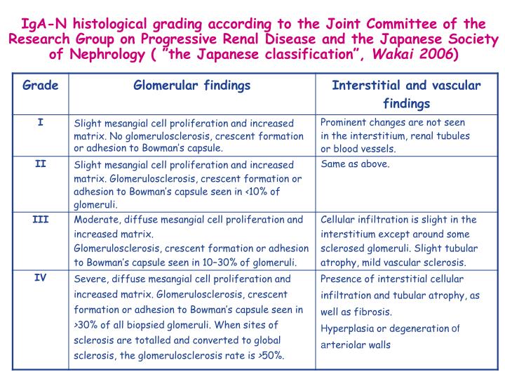 PPT - The Oxford classification of IgA-nephropathy: A review based on ...
