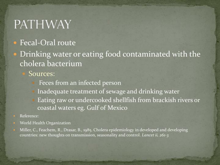 PPT - CHOLERA—Population, Environmental, and Behavioral Factors ...