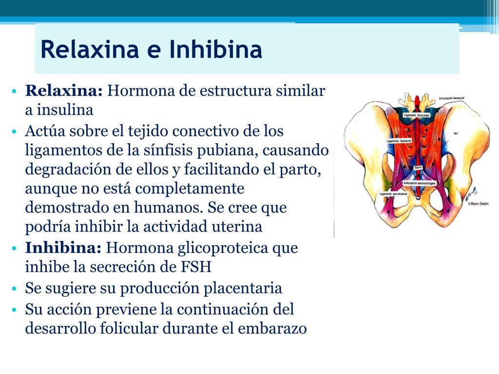 PPT - ENFM-121 2009 Lorena Gallardo G. PowerPoint Presentation, free ...
