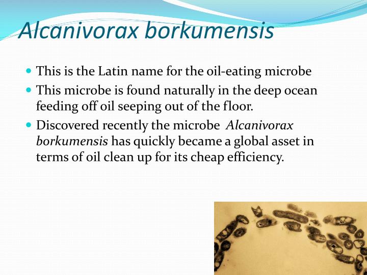 PPT - Deep Sea Microbes PowerPoint Presentation - ID:823104