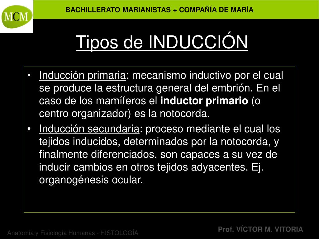 PPT - DESARROLLO EMBRIONARIO EN EL HOMBRE - 3 PowerPoint Presentation ...